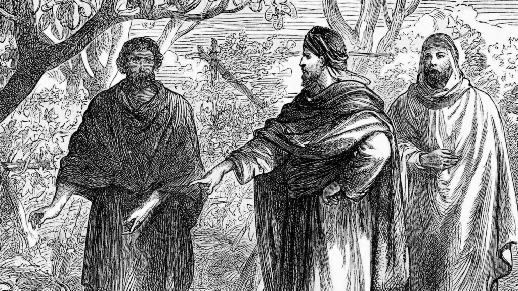 Jesus Is Meek And Humble Of Heart - Catholic Journal