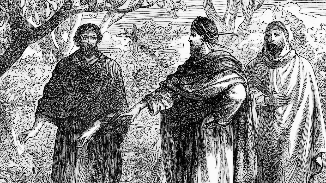 Jesus Is Meek And Humble Of Heart - Catholic Journal